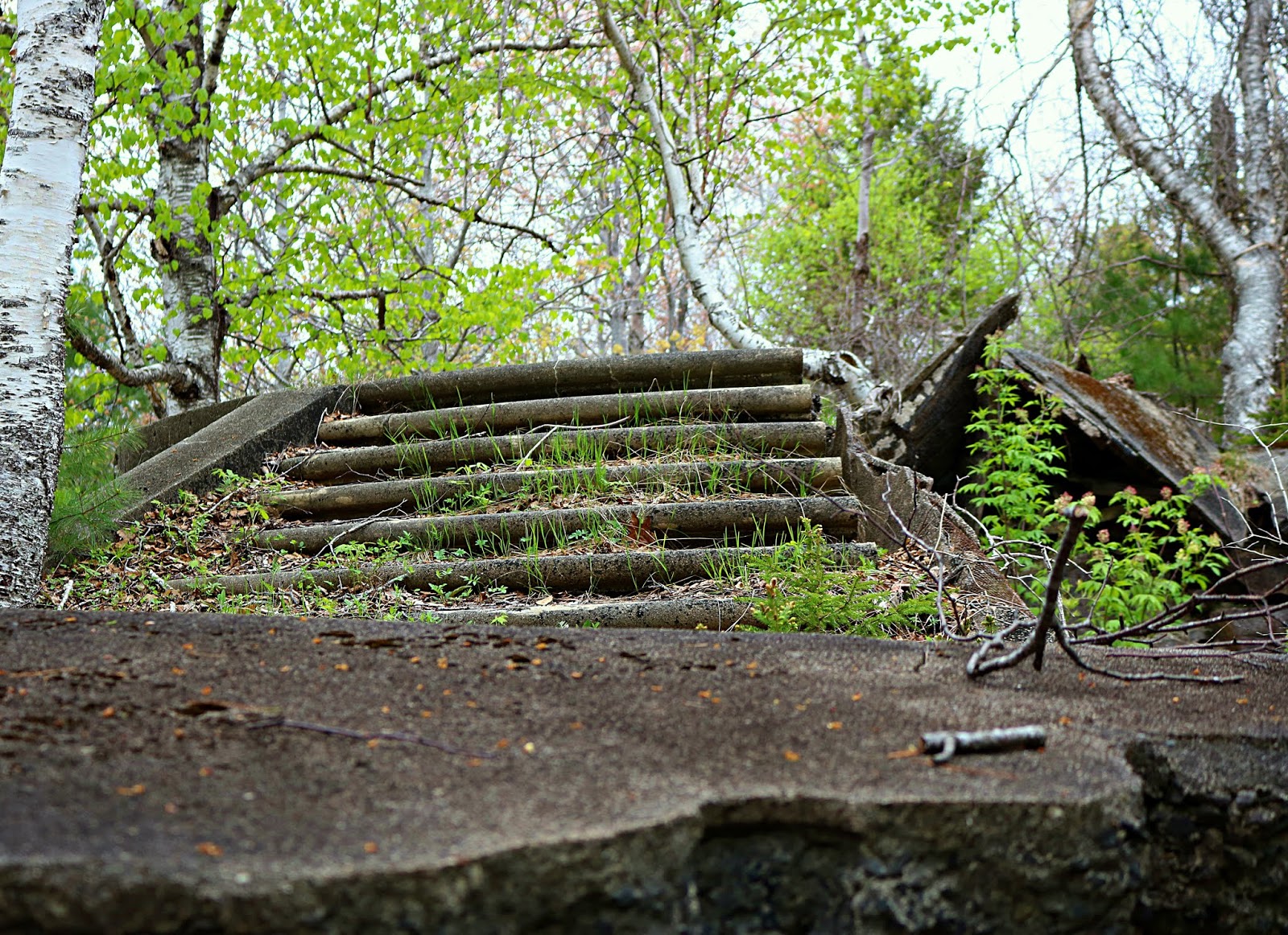 ABANDONED TRAILS OF ACADIA NATIONAL PARK: THE ANNE M. ARCHBOLD ESTATE