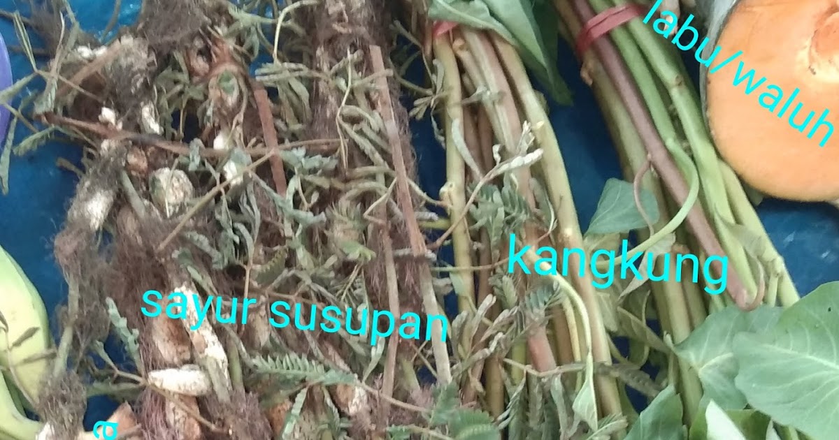 Khas dan Budaya Daerah Kalimantan: Gangan Karuh Susupan Khas Amuntai ... Khas dan Budaya Daerah Kalimantan: Gangan Karuh Susupan Khas Amuntai ...