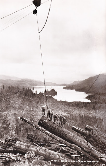 Amazing Vintage Photographs Document Logging and Lumber Activities in ...