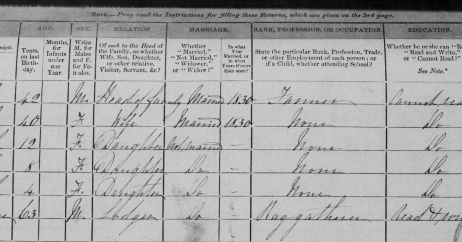 The 1851 census of Ireland