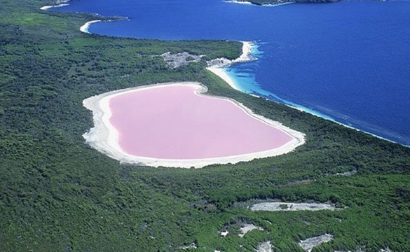 Natureza e Vida: O TOM ROSA DO LAGO HILLIER É UM ESPETÁCULO DE BELEZA ...