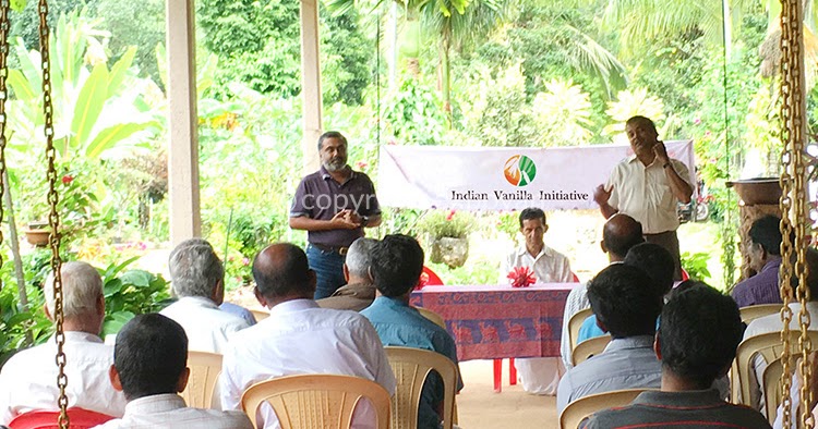 Indian Vanilla Initiative