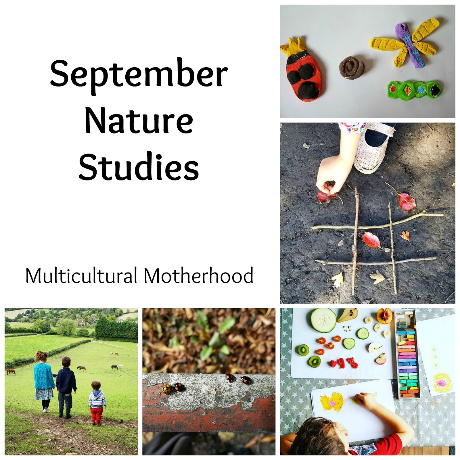 September Nature Studies | Multicultural Motherhood
