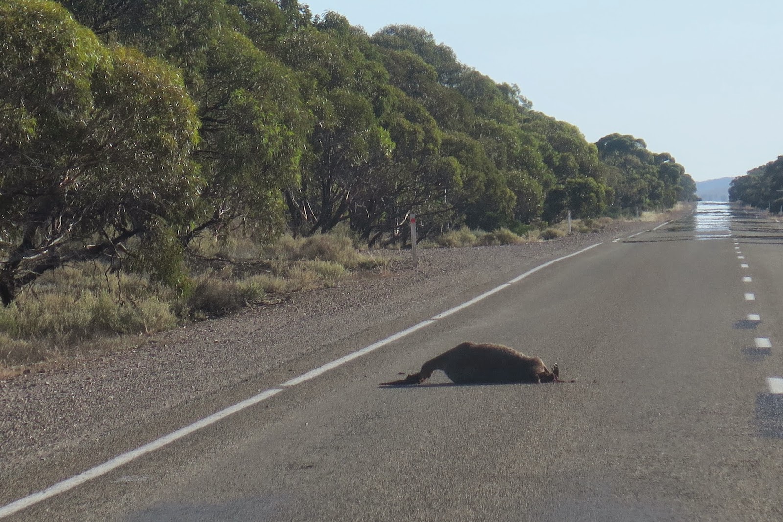 It's what i do: Outback Adventure -Part 1