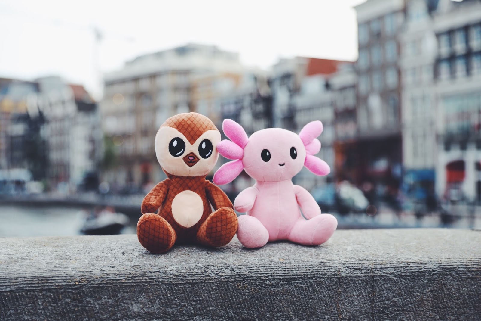 Java is a Socially Conscious Pangolin Toy That Helps Those In Need