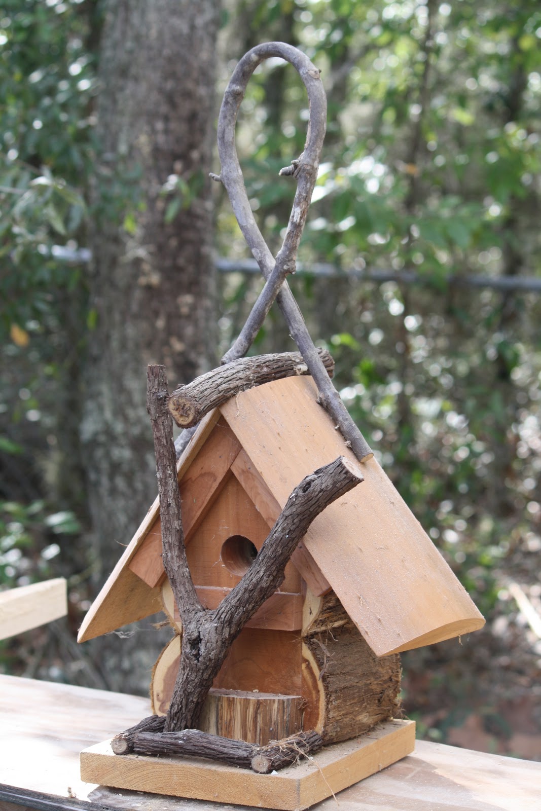 The Blue Whale and Other Travel Tales: Ocali Days at Silver River ...