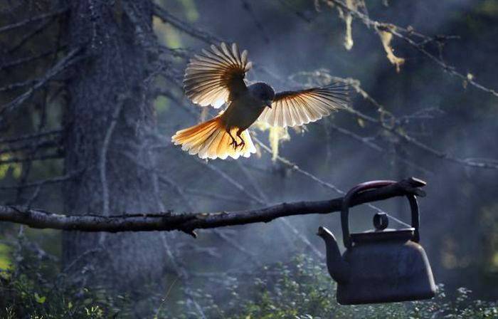 Mail2Day: Truly Cool Beautiful Pictures (59 pics)