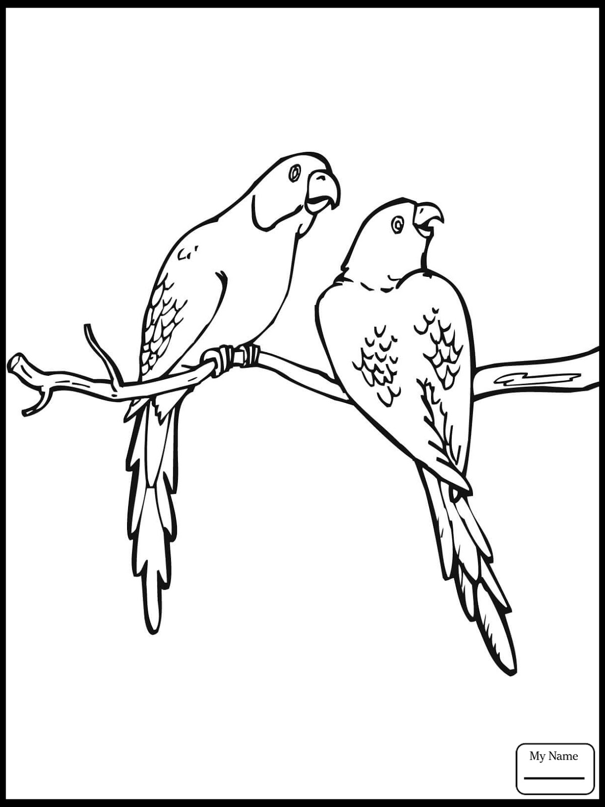 parakeet coloring pages - jiahajava