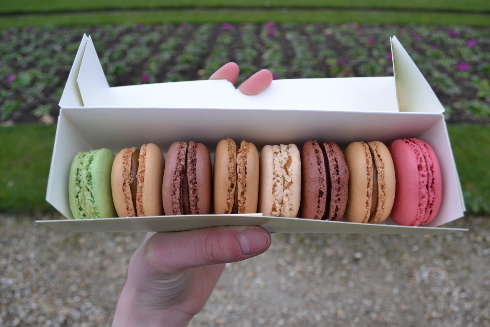 DID SOMEONE SAY "MACARON"?: laduree