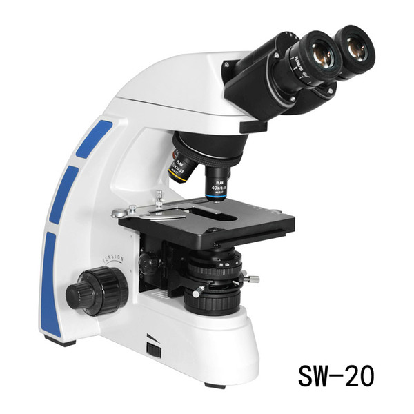 Microscope - Microbiology Laboratory Turkey