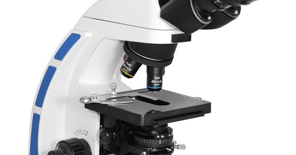 Microscope - Microbiology Laboratory Turkey