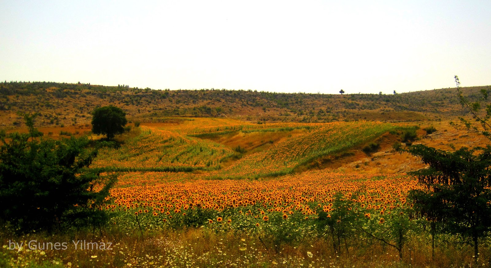 Güneş Yılmaz: Toroslar-Adana/ Taurus Mountains