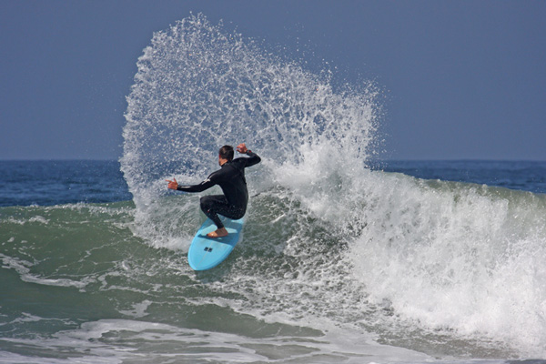 Fish, or Octafish? – Surfy Surfy