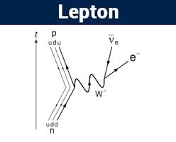COSMOLOGY: THE STANDARD MODEL OF PARTICLE PHYSICS