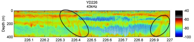 Charismatic Microfauna: Diel Vertical Migration (DVM)