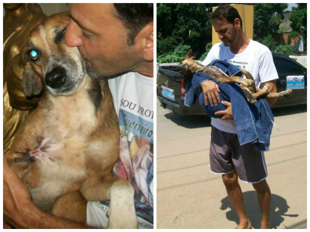 pijaprende: CONMOVEDOR!!! mira como este hombre salvo a este perro de ...