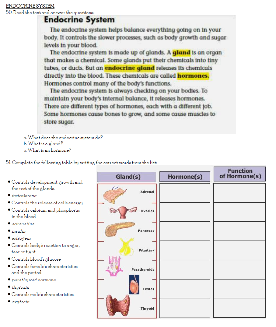 Natural Science 6 grade: 9. ENDOCRINE SYSTEM