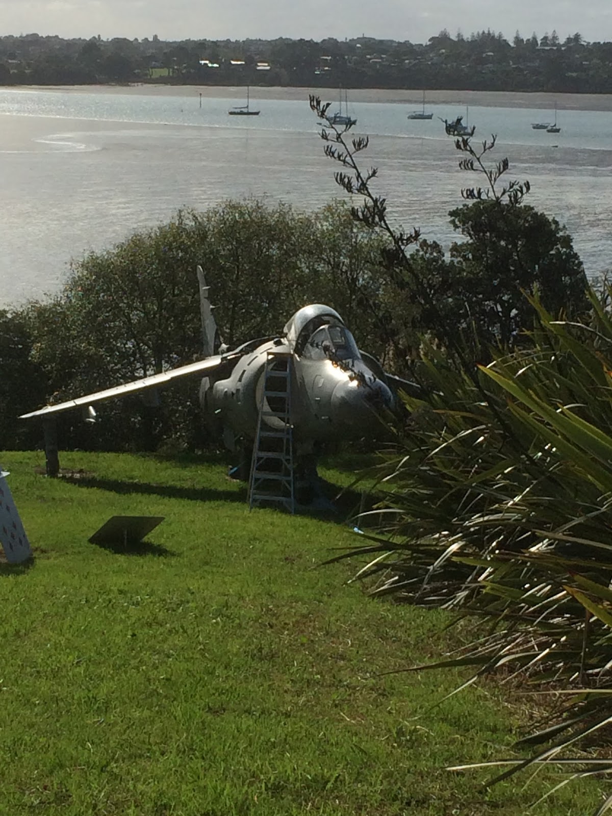 NZ Civil Aircraft: Sea Harrier Ahoy!