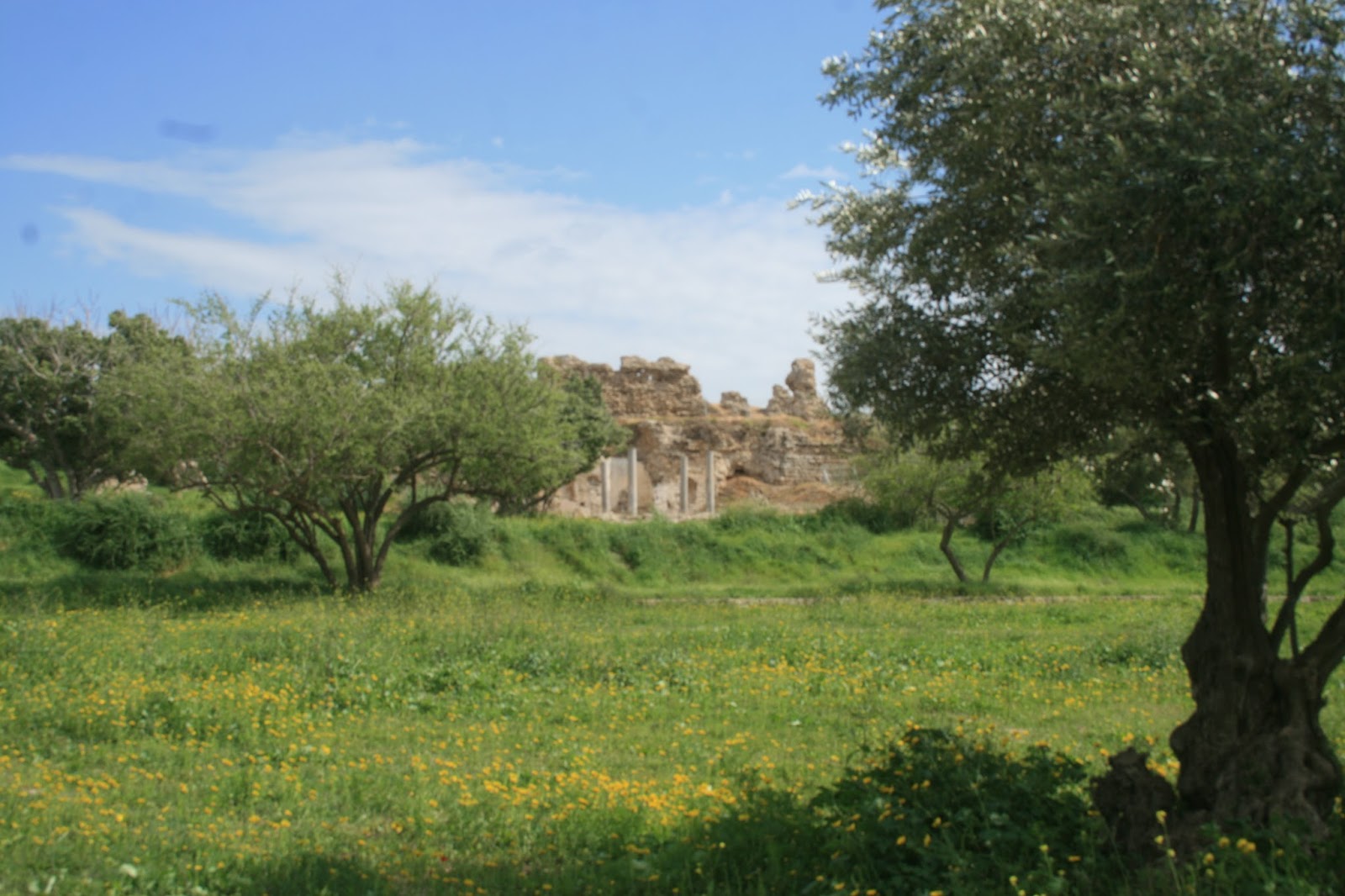 Defending the Crusader Kingdoms: Battle of Arsuf - September 7, 1191