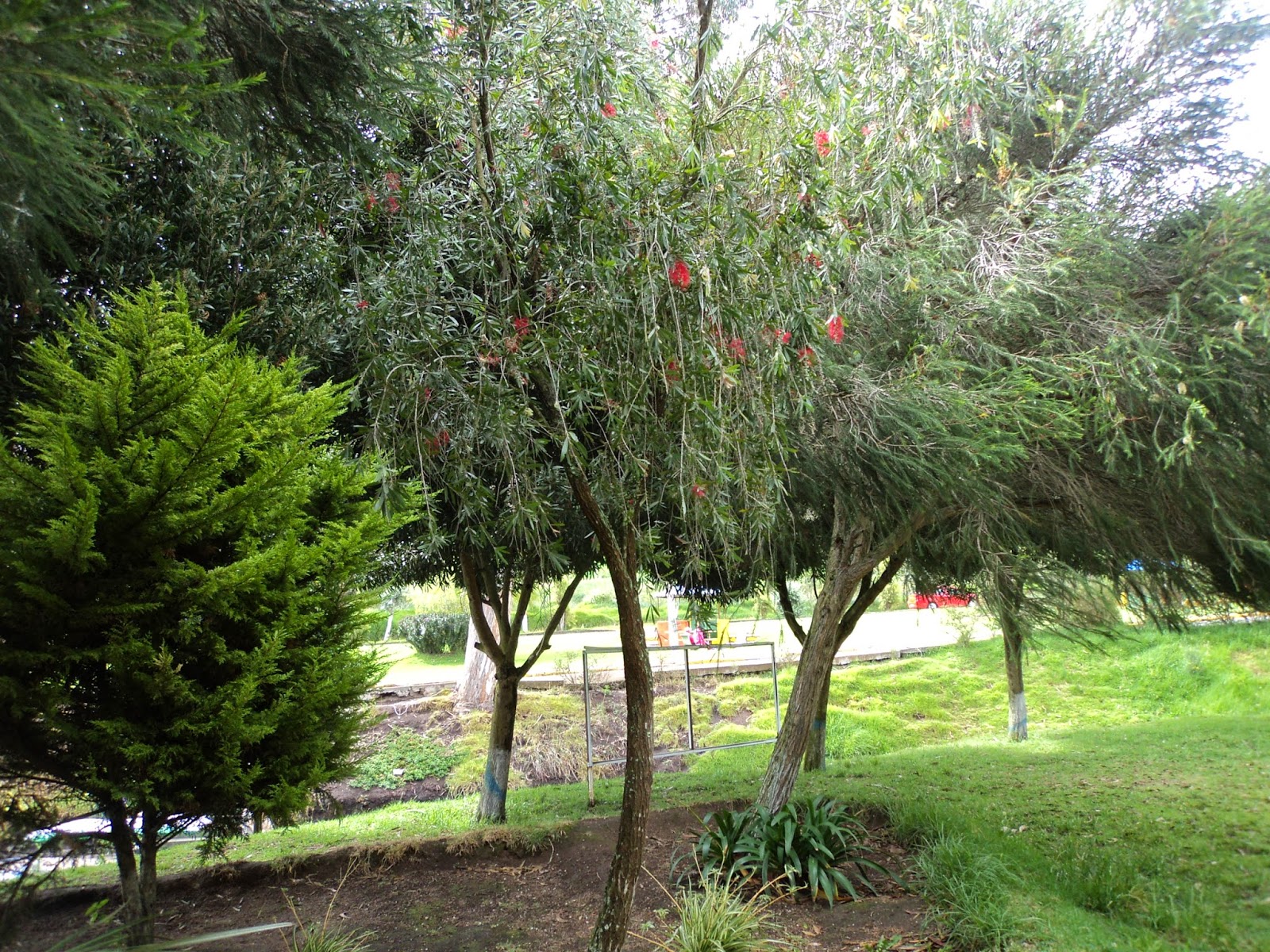 DISFRUTA DE LA NATURALEZA ~ COMPLEJO TURÍSTICO LA MOYA-PELILEO