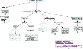 Las empresas: Mapa Conceptual del Sector primario