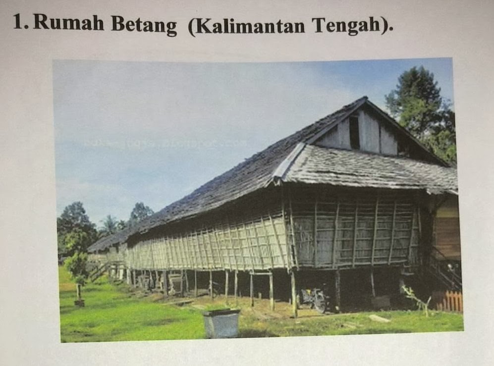 Danik Amalia: Rumah Betang (Kalimantan Tengah) Bag.1