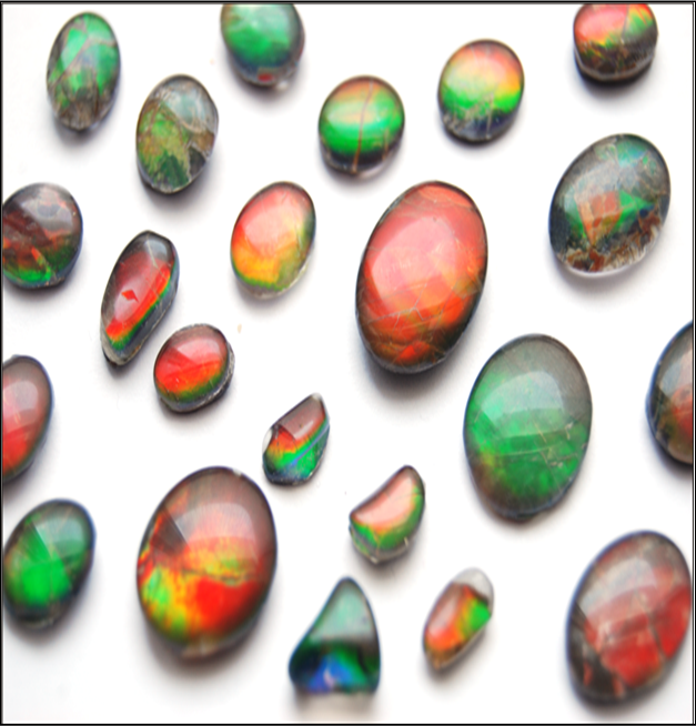 Ammolite - USA provider: Ammolite - the Christmas Stone