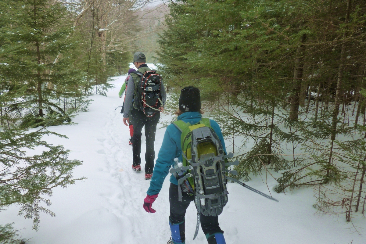 The Saratoga Skier and Hiker: Gothics Mountain, cable route: 02/23/2013