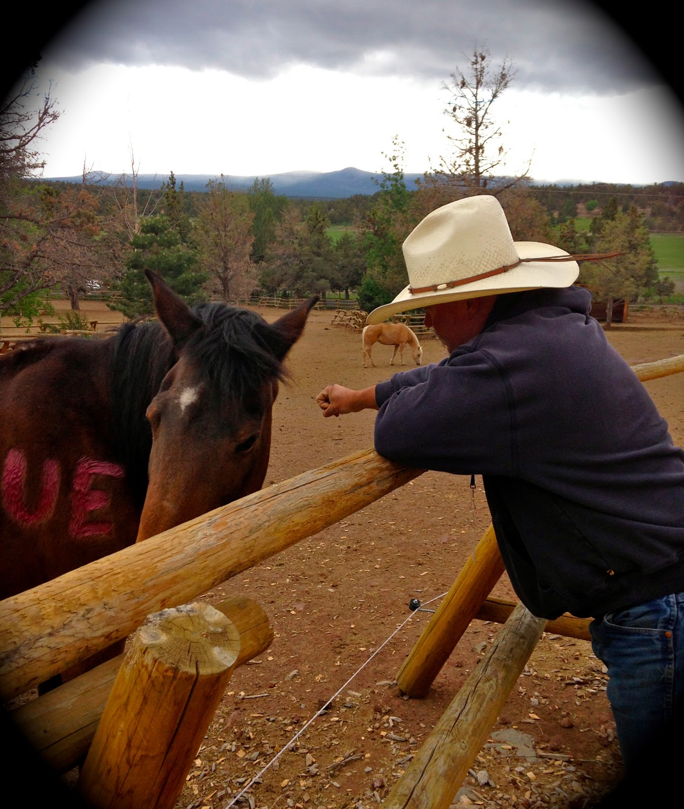 Sun River Equine Youth Ranch--Divine Journey: Leadership Conference and ...