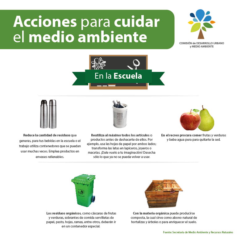 Infografías para el cuidado del medio ambiente