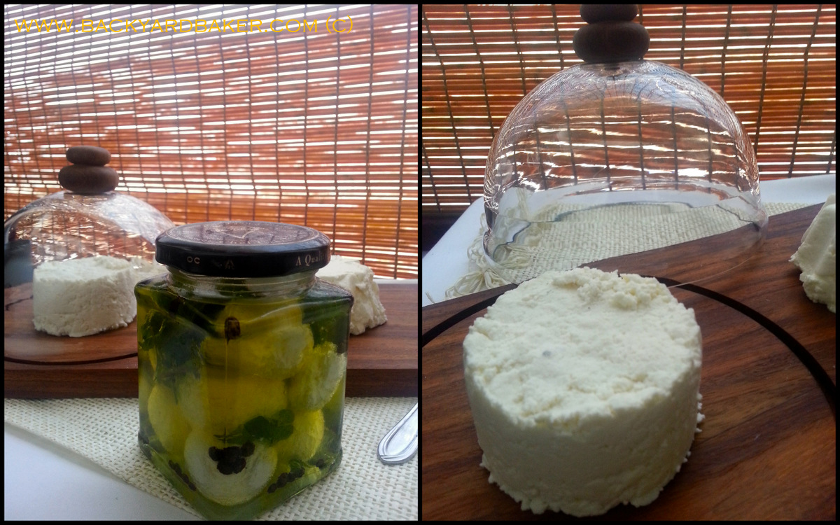 Homemade Cheese - The Daring Cook's March 2013 Challenge