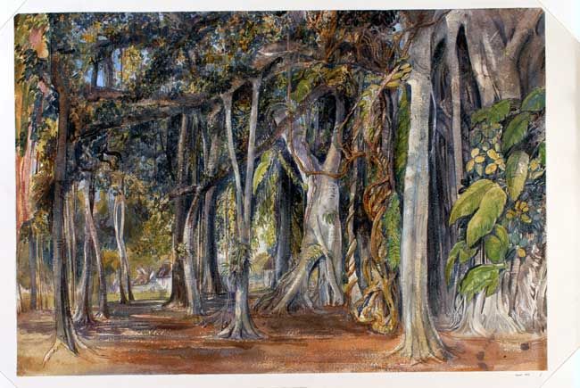 de amores y relaciones: Lady Charlotte Canning, Countess Canning ...