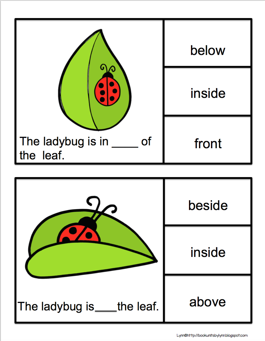 LADYBUG PREPOSITION SET ~ Book Units by Lynn