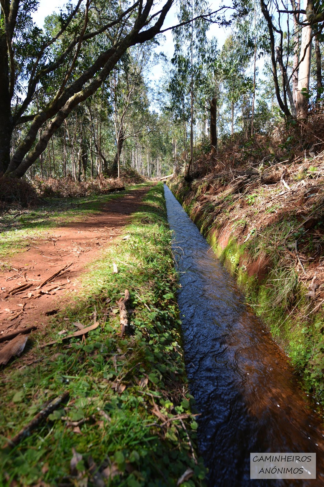 Caminheiros Anónimos Levadas da Madeira : Levada Grande (Achadas da Cruz)