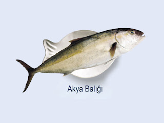 Akya Balığı Nasıl Pişirilir? ~ En iyi Balık Yemekleri tarifi