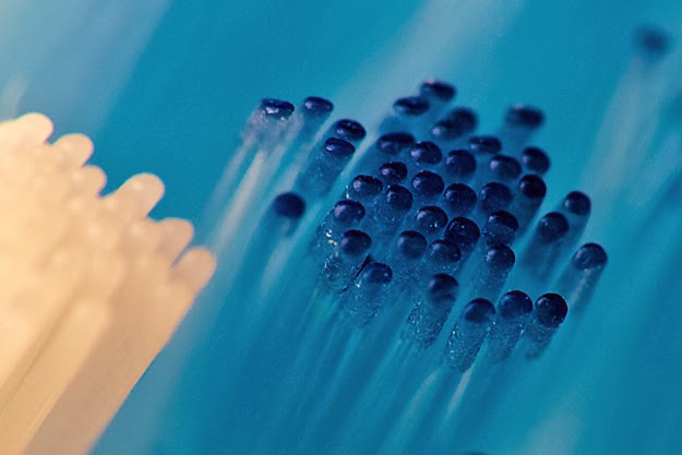 Trying Out Extreme Macro Photography Using Still Life Object - Jefz Lim ...