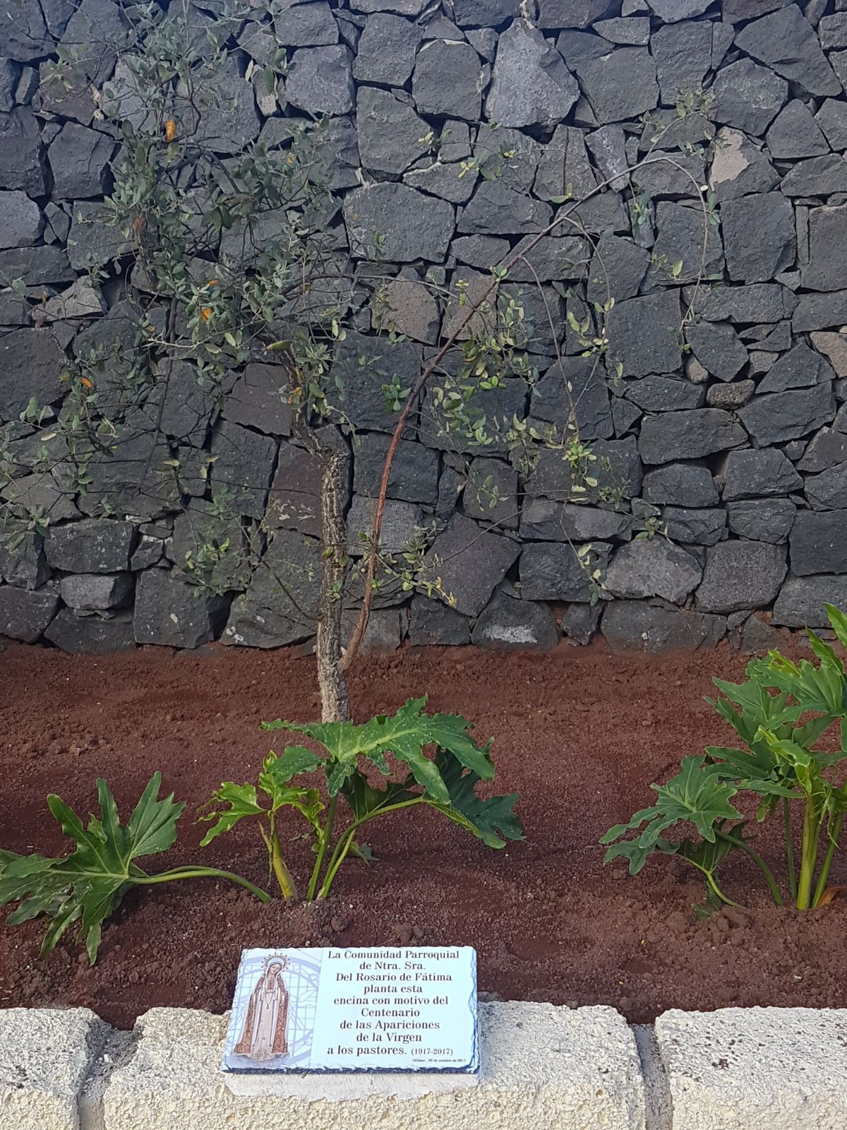 Jardín sacerdote Vicente Jorge Dorta en el Barrio de Fátima