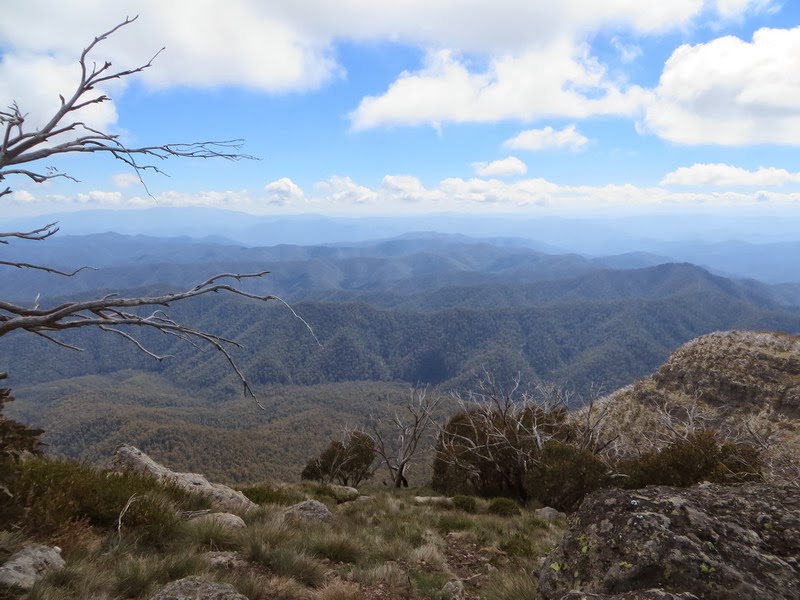 Dzung Nguyen's Blog: Mt Cobbler Walk