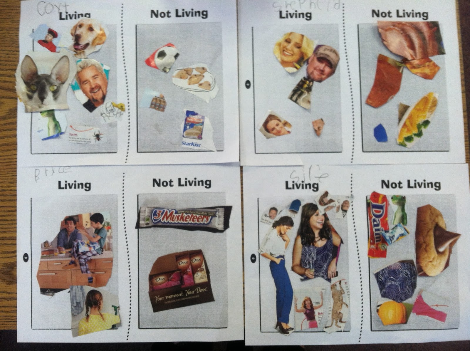 Mrs. Tucker's Class: Living and Nonliving Collages