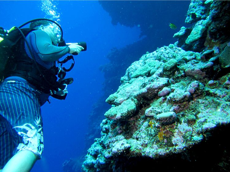 Kosrae-Pohnpei-May2011: Extreme Adventure Diving!