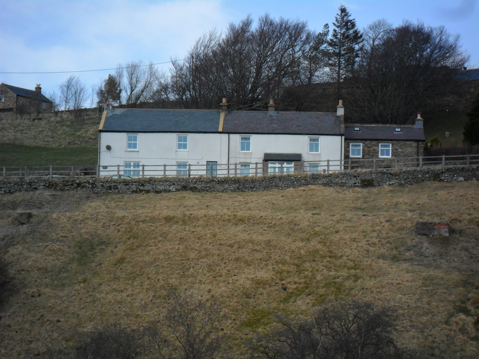 Heather in Cowshill: April 2013