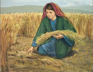 Aqui eu Aprendi!: A história de Rute - Livro de Rute