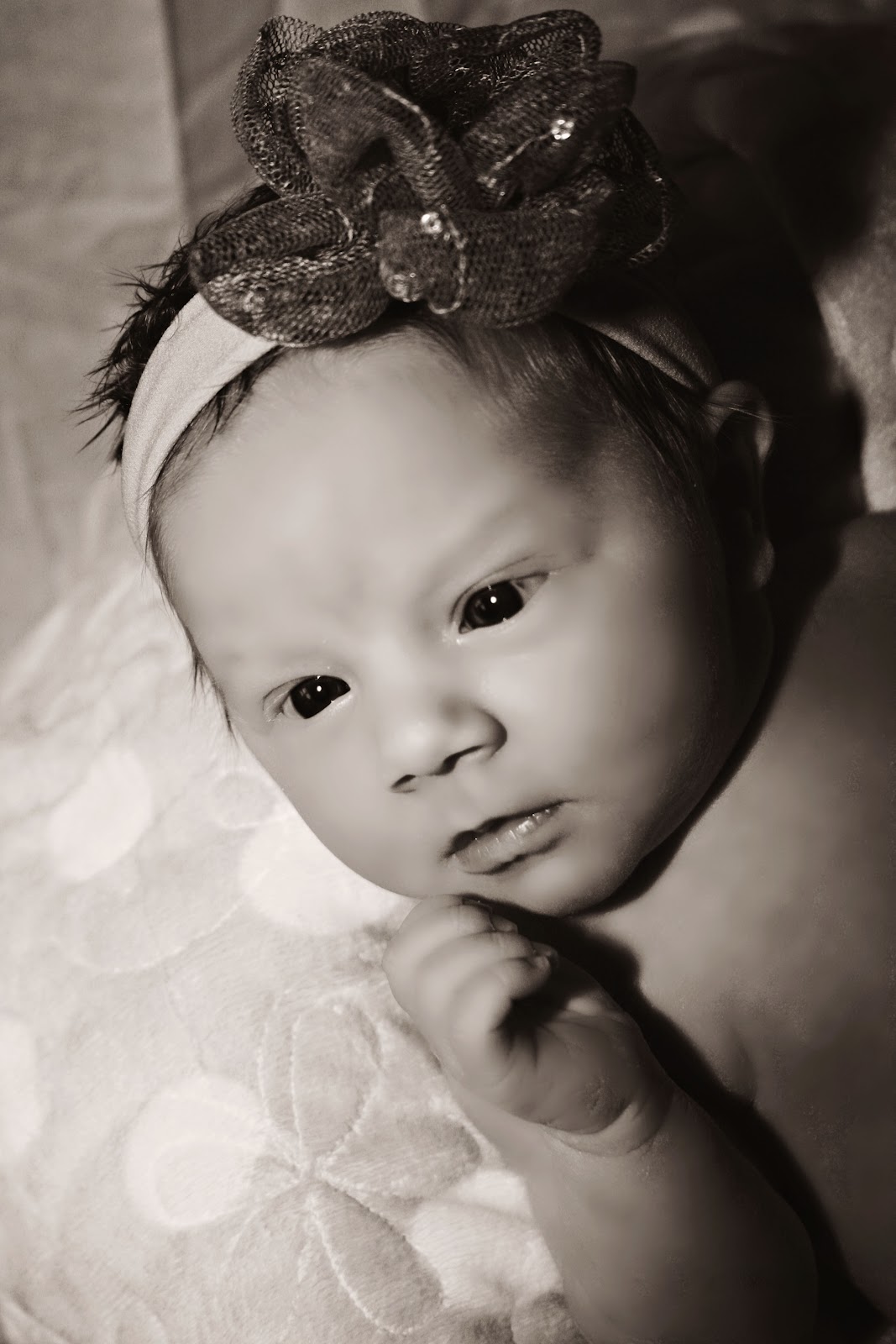 All About The Photos My Little Model all-about-the-photos-my-little-model