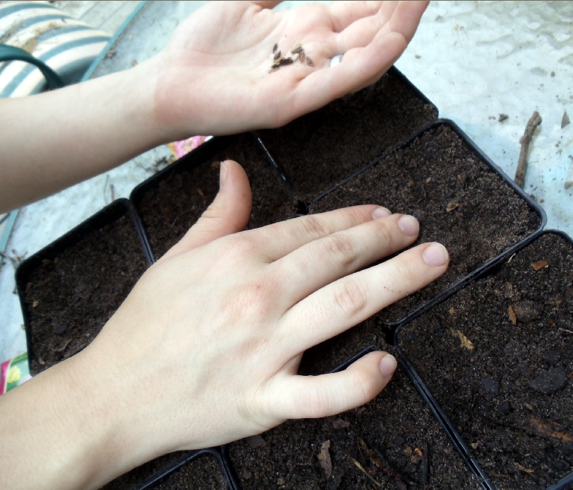 Gardening and Yardwork..Country Style | Comin' Home