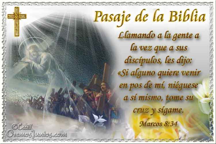 Vidas Santas: Santo Evangelio según san Marcos 8:34