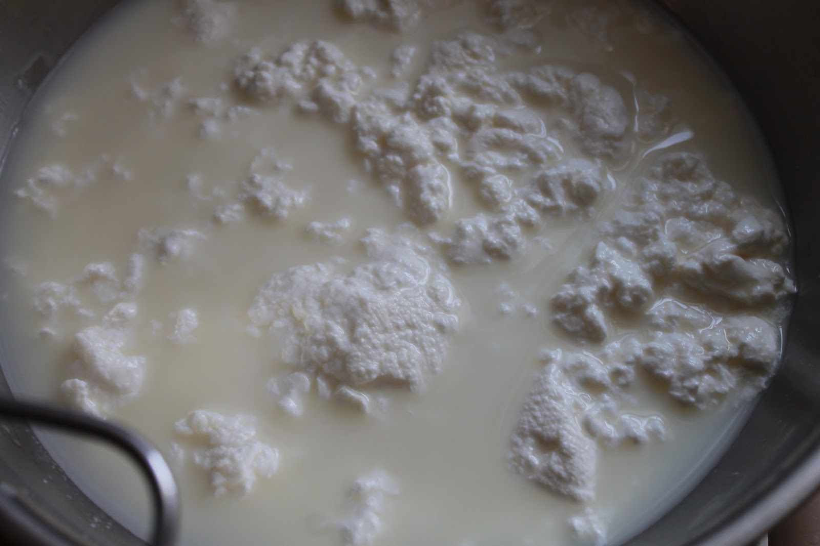 SunShine Sews...: Raw Milk Cheese