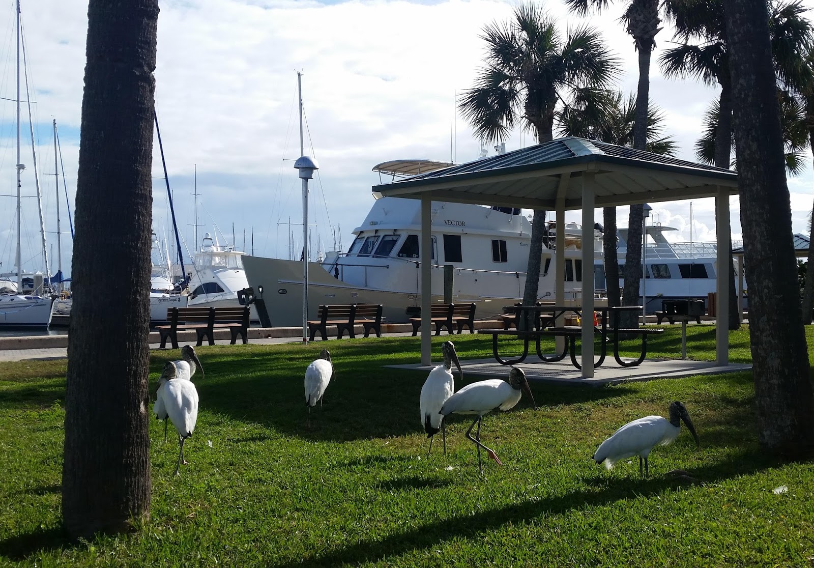 Our Odyssey: Space Coast
