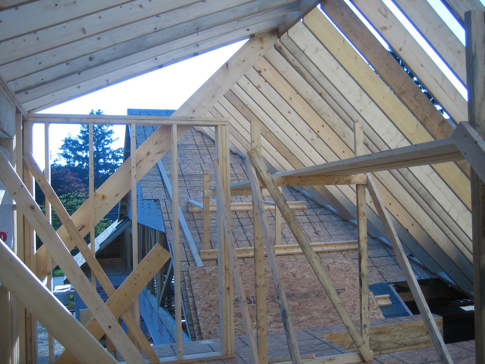 The Impatient Home Builder: Roof Lines