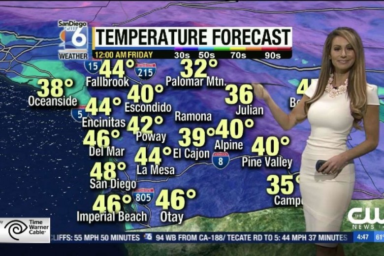 14 Bustiest Weather Girls Down South