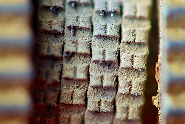 Trying Out Extreme Macro Photography Using Still Life Object - Jefz Lim ...